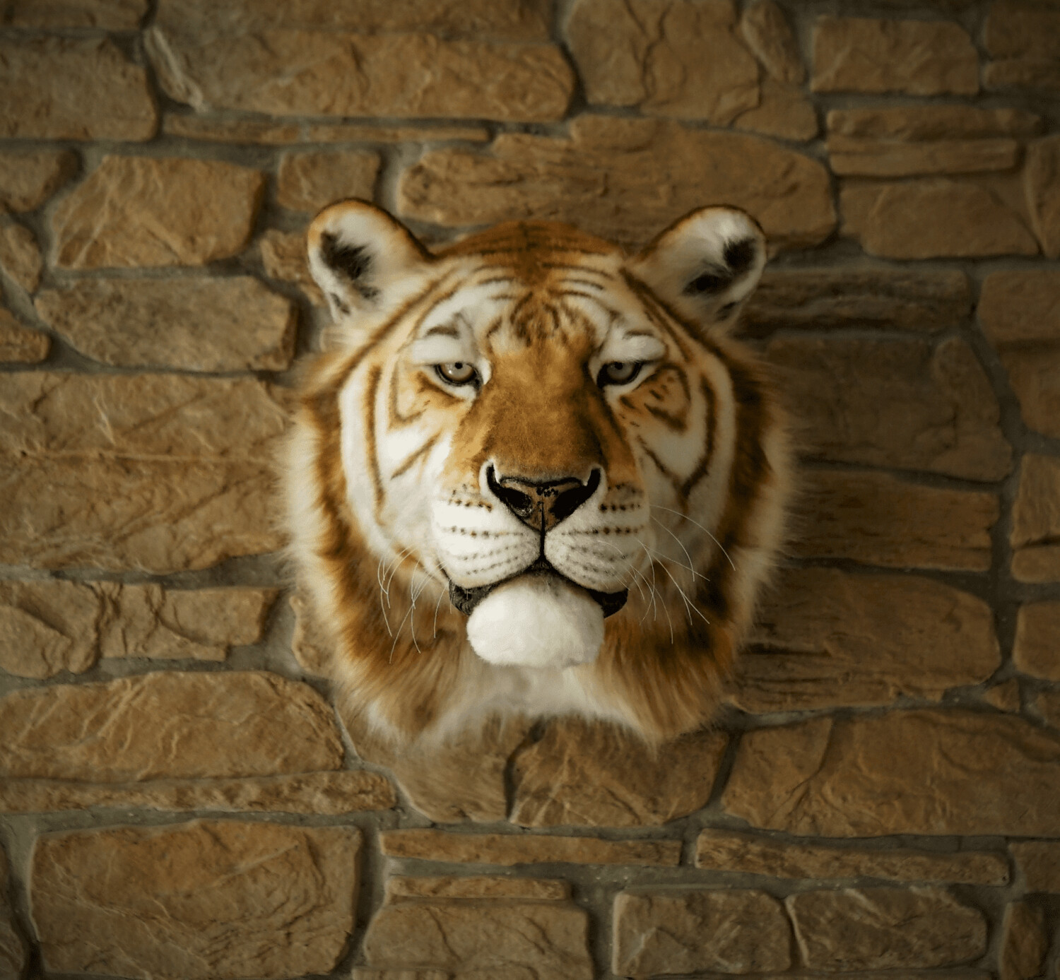 Golden Tiger Head Wall Mount - Faux Animal Replicas Golden Tiger Head Wall Mount - Faux Animal Replicas